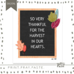 Harvest in Our Hearts Patterned Paper Bundle - Illustrated Faith