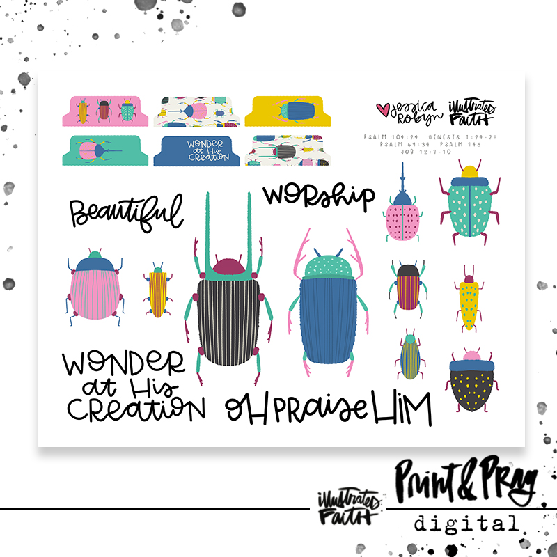 Wonder Bugs - Illustrated Faith