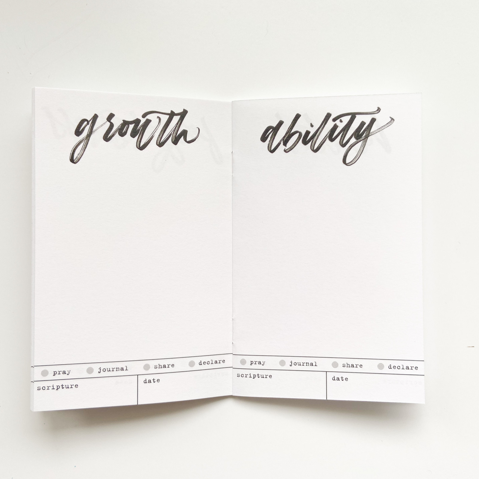 Gratitude Documented Mini Journal - Illustrated Faith