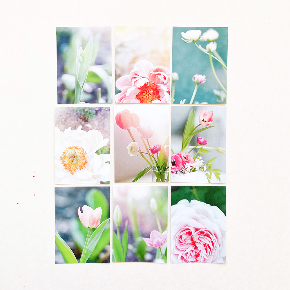 Bekah's Floral Photo Pack - Illustrated Faith